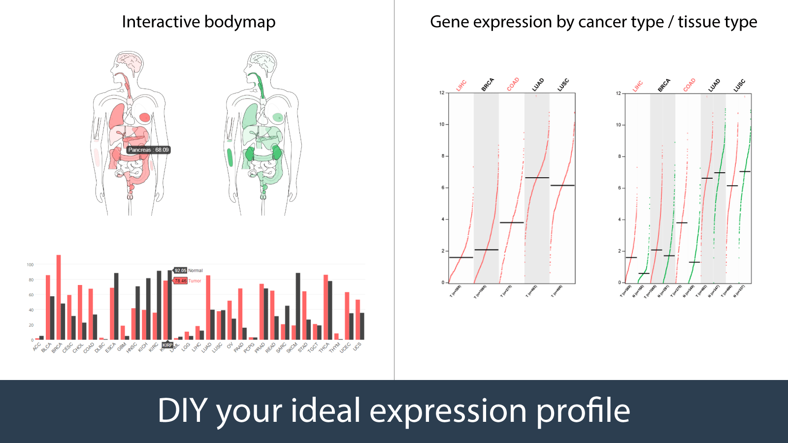 GEPIA Gene Expression Profiling Interactive Analysis GEPIA Gene Expression Profiling Interactive Analysis
